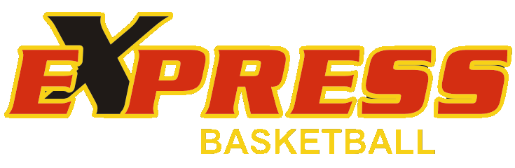 Metro Basketball Association : Website by RAMP InterActive